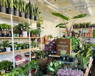 Shop » Old Pasadena